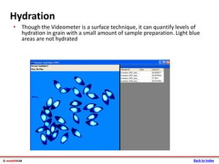 Multispectral Imaging of Grains and Seeds with VideometerLab 3 | PDF