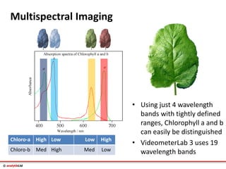 Multispectral Imaging of Grains and Seeds with VideometerLab 3 | PDF