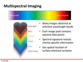 Multispectral Imaging of Grains and Seeds with VideometerLab 3 | PDF