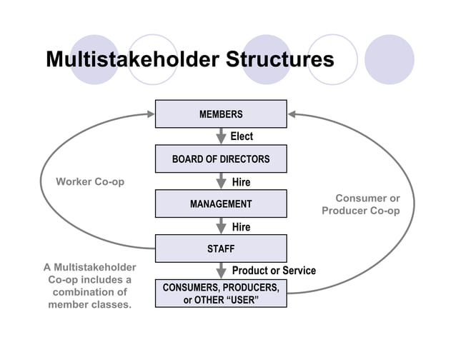 Multistakeholder Cooperation | PDF