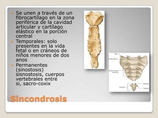 Generalidades de las Articulaciones | PPTX