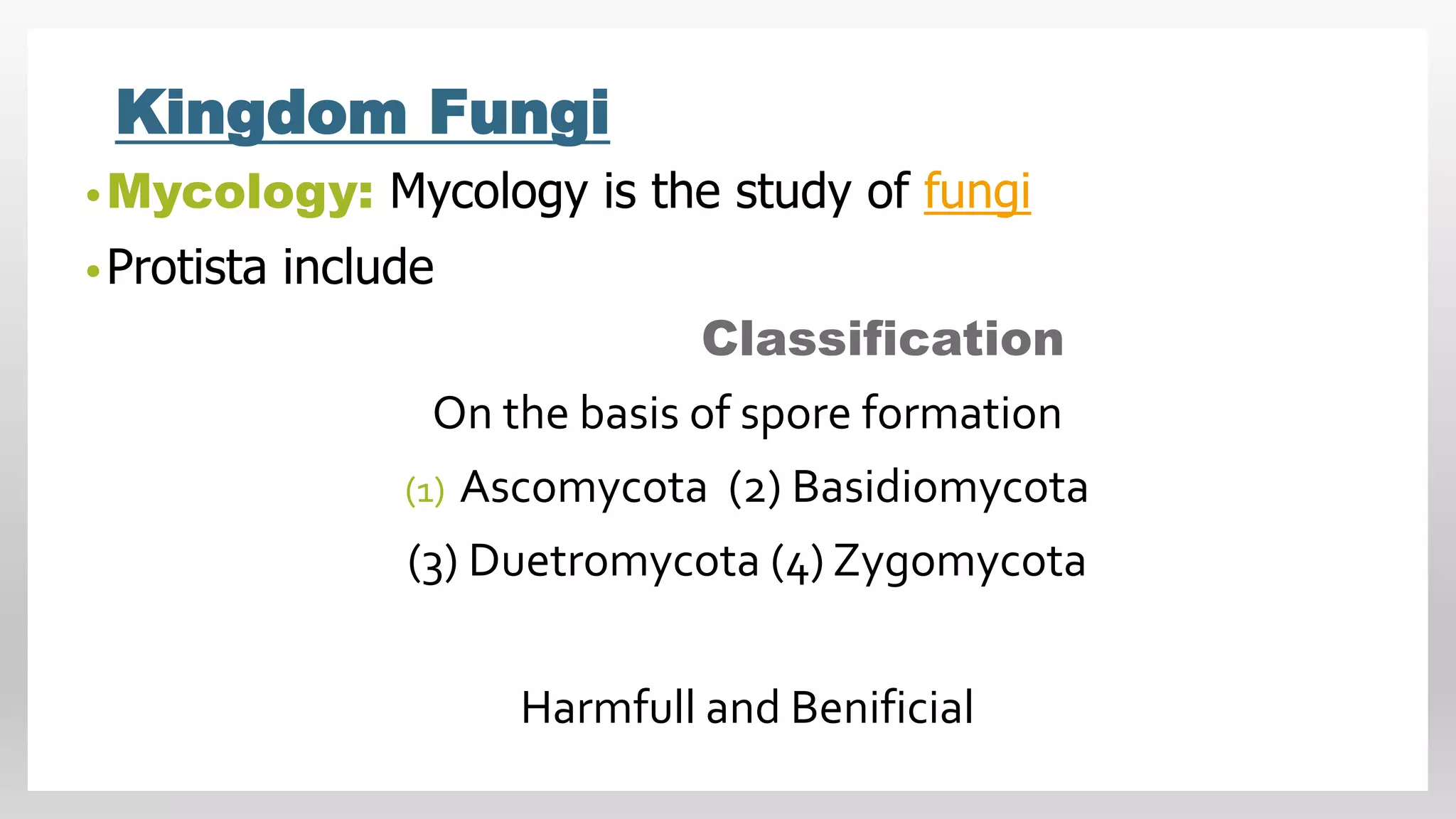 Superficial Mycoses Disease | PDF | Skin and Dermatology | Diseases and ...