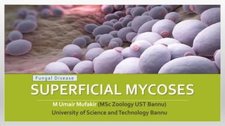 Superficial Mycoses Disease | PDF | Skin and Dermatology | Diseases and ...