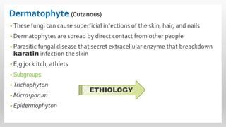 Superficial Mycoses Disease | PDF | Skin and Dermatology | Diseases and ...