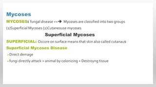 Superficial Mycoses Disease | PDF