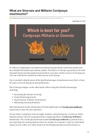 what are sinensis and militaris cordyceps mushrooms