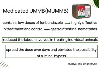 MUMMB [Auto-saved].pptx