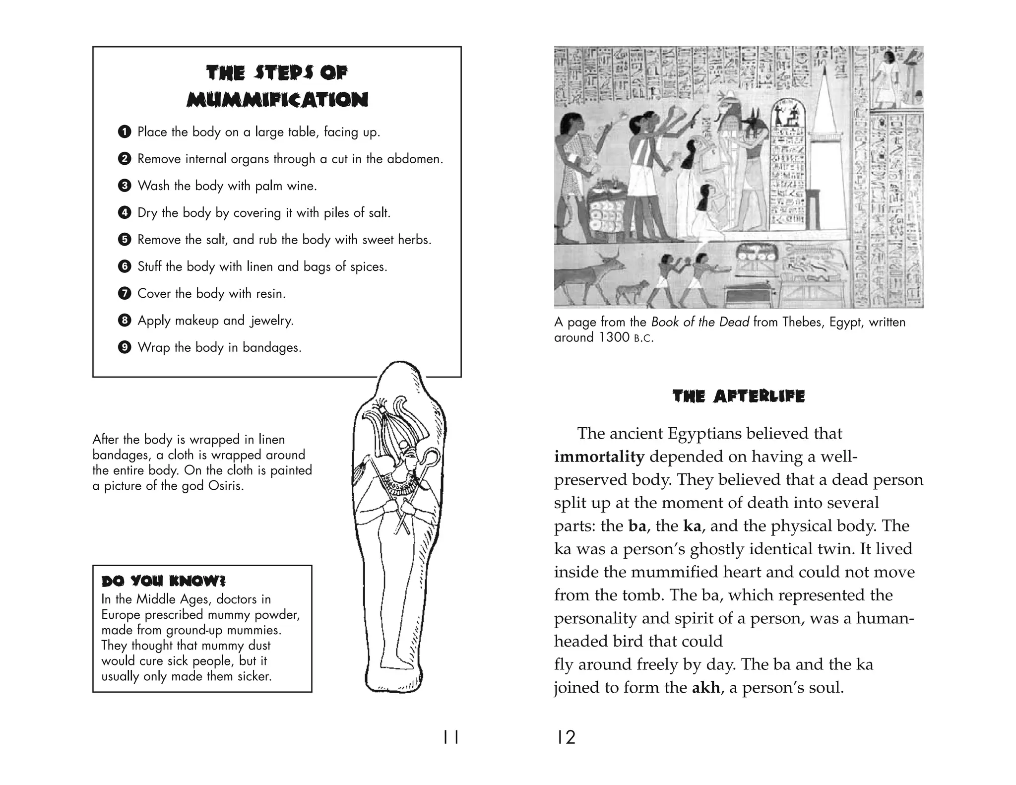 Mummification English project pptx pdf help yourself | PPT | Free Download