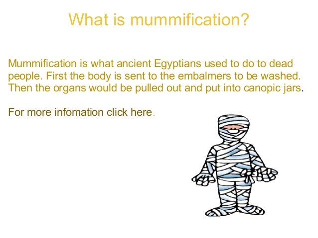 What Does Mummification Mean – Mummification In The Ancient Egypt – XOLLN