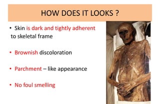 Mummification | PPTX