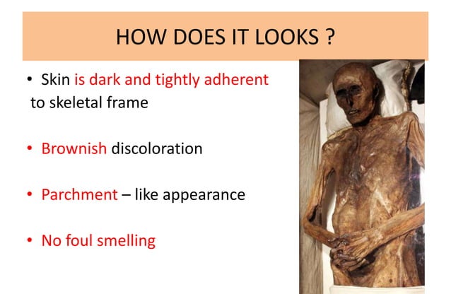 Mummification | PPTX