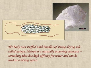 Mummification and preservation | PPT