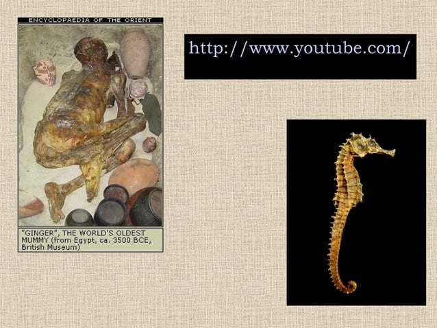 Mummification and preservation | PPT