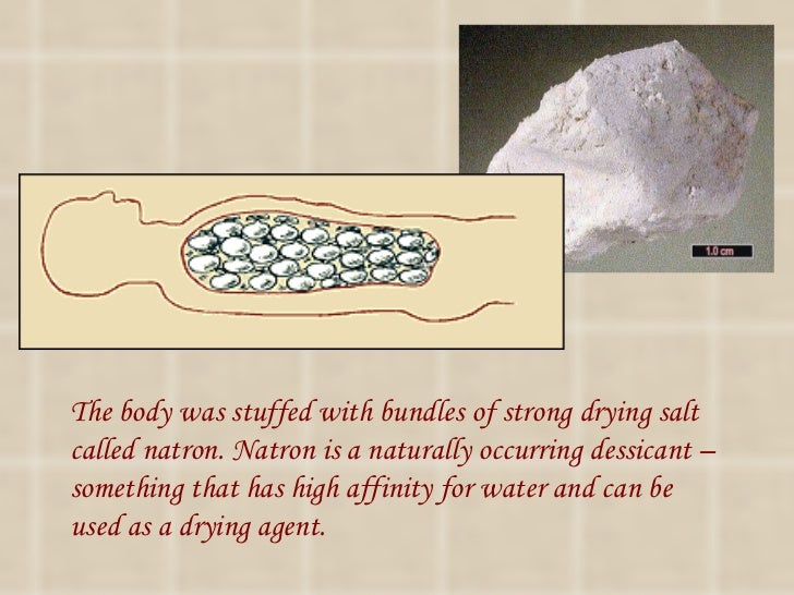 Mummification and preservation