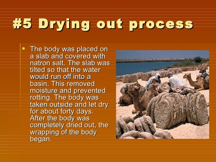 Mummification Steps To Life