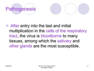 Mumps Virus Pathogenesis