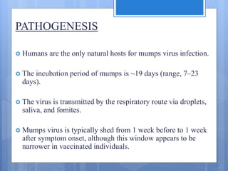 Mumps Virus Pathogenesis