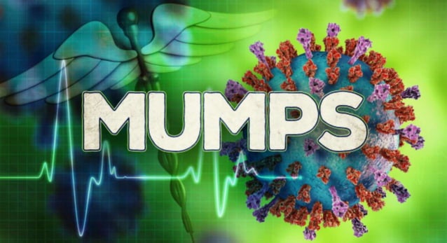 Mumps | PPTX | Ear, Nose and Throat Conditions | Diseases and Conditions