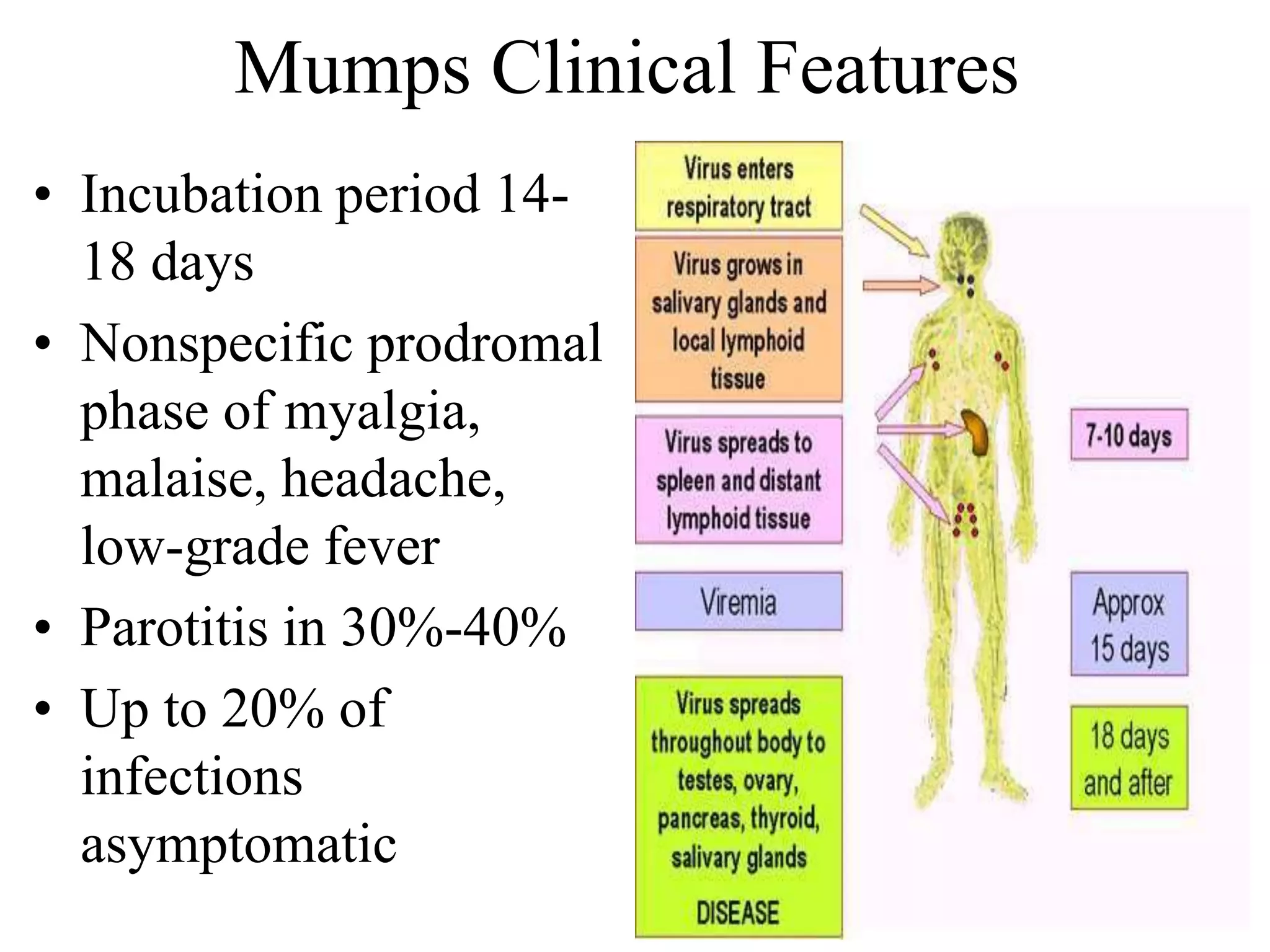 Mumps & Rubella.pptx