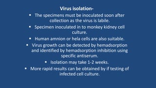 mumps virus.pptx