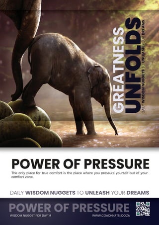 Wisdom Nuggets | PDF