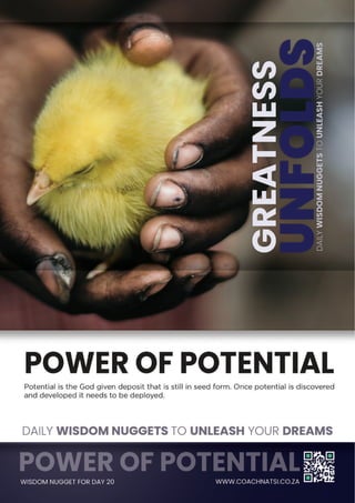 Wisdom Nuggets | PDF