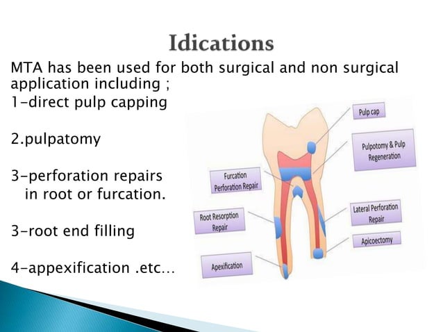 strip perforation | PPTX