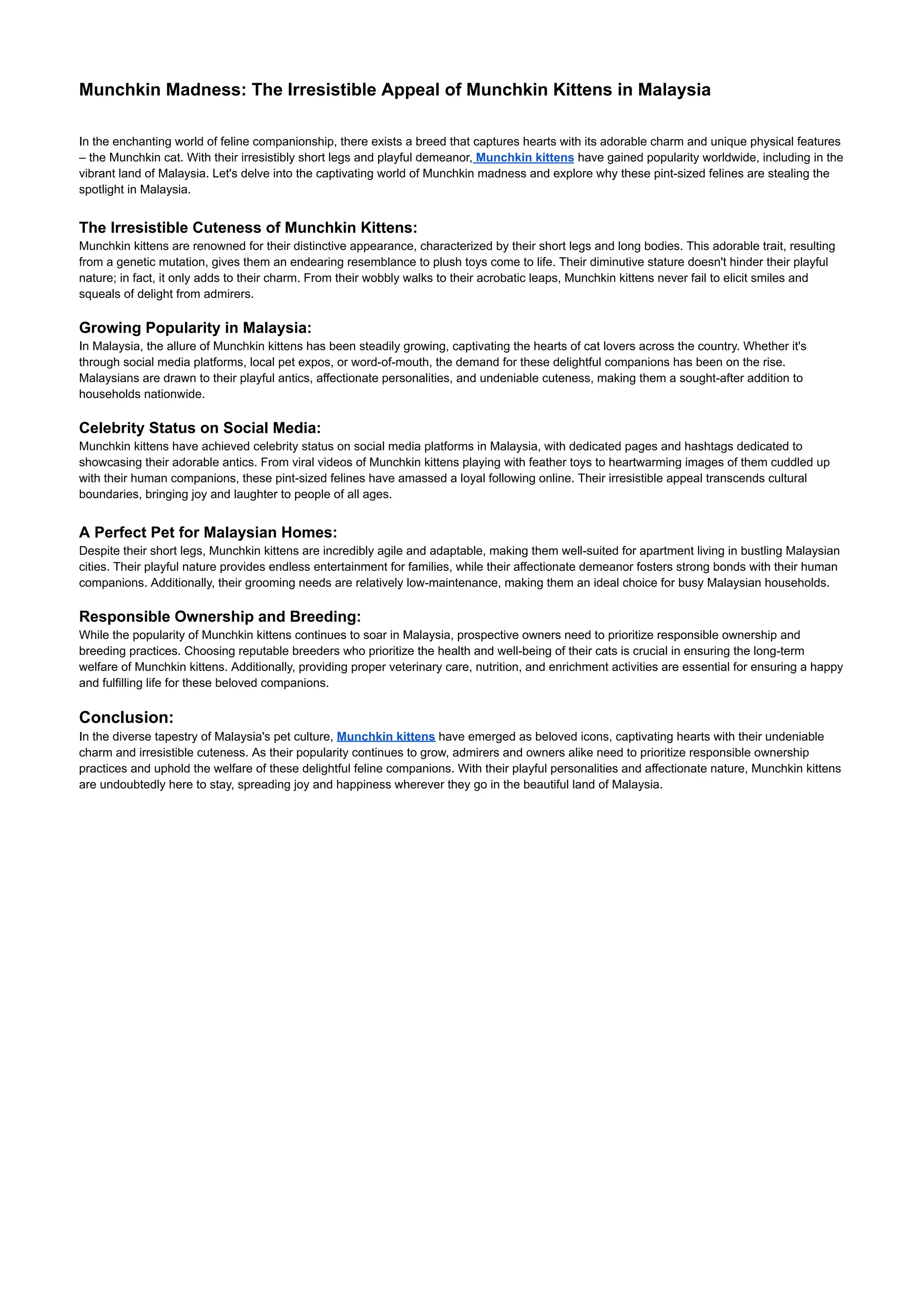 Munchkin Madness_ The Irresistible Appeal of Munchkin Kittens in ...