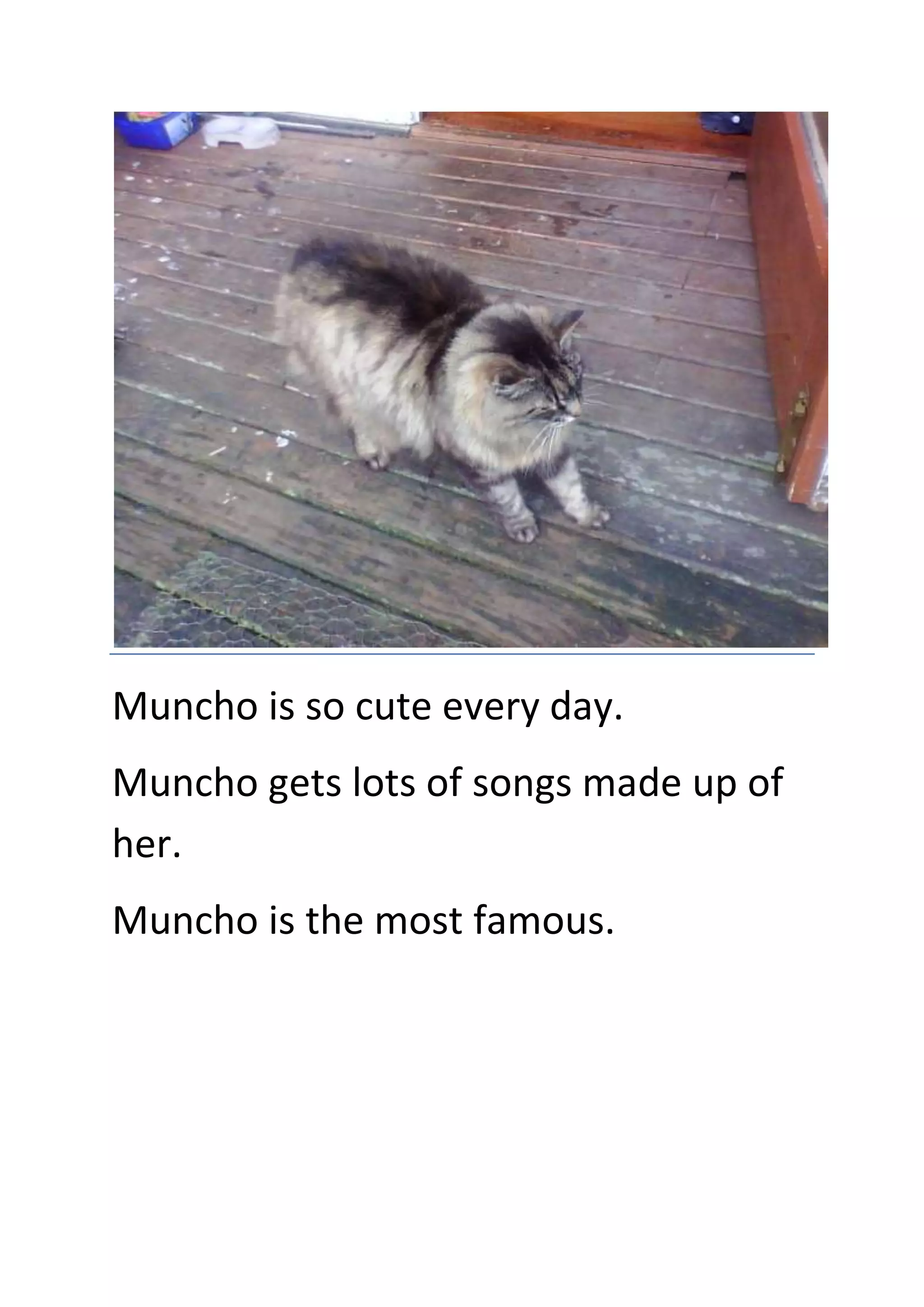Muncho is so cute every day | PDF