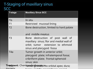 Mundada_Paranasal-sinuses-Neoplastic-lesions.pptx