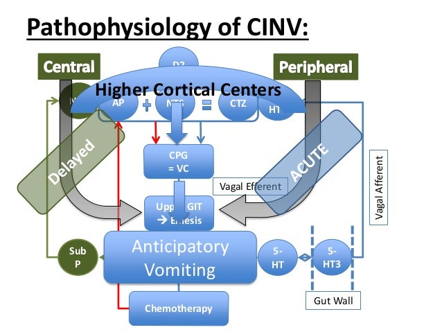 CINV (chemotherapy induced nausea & vomiting)