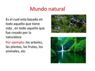 Mundo natural y artificial | PPTX