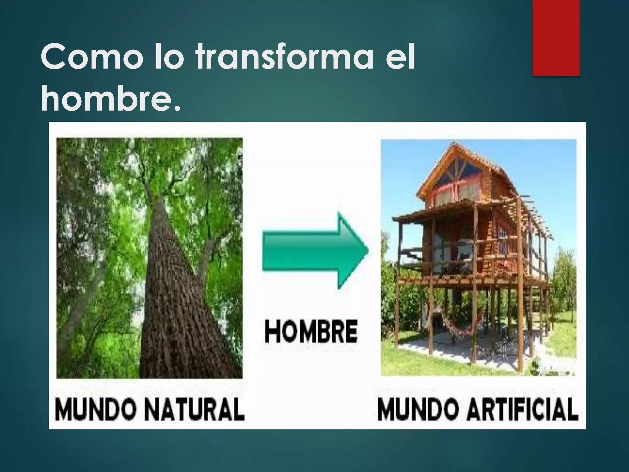 Mundo natural y mundo artificial.pptxmejorado | PPT