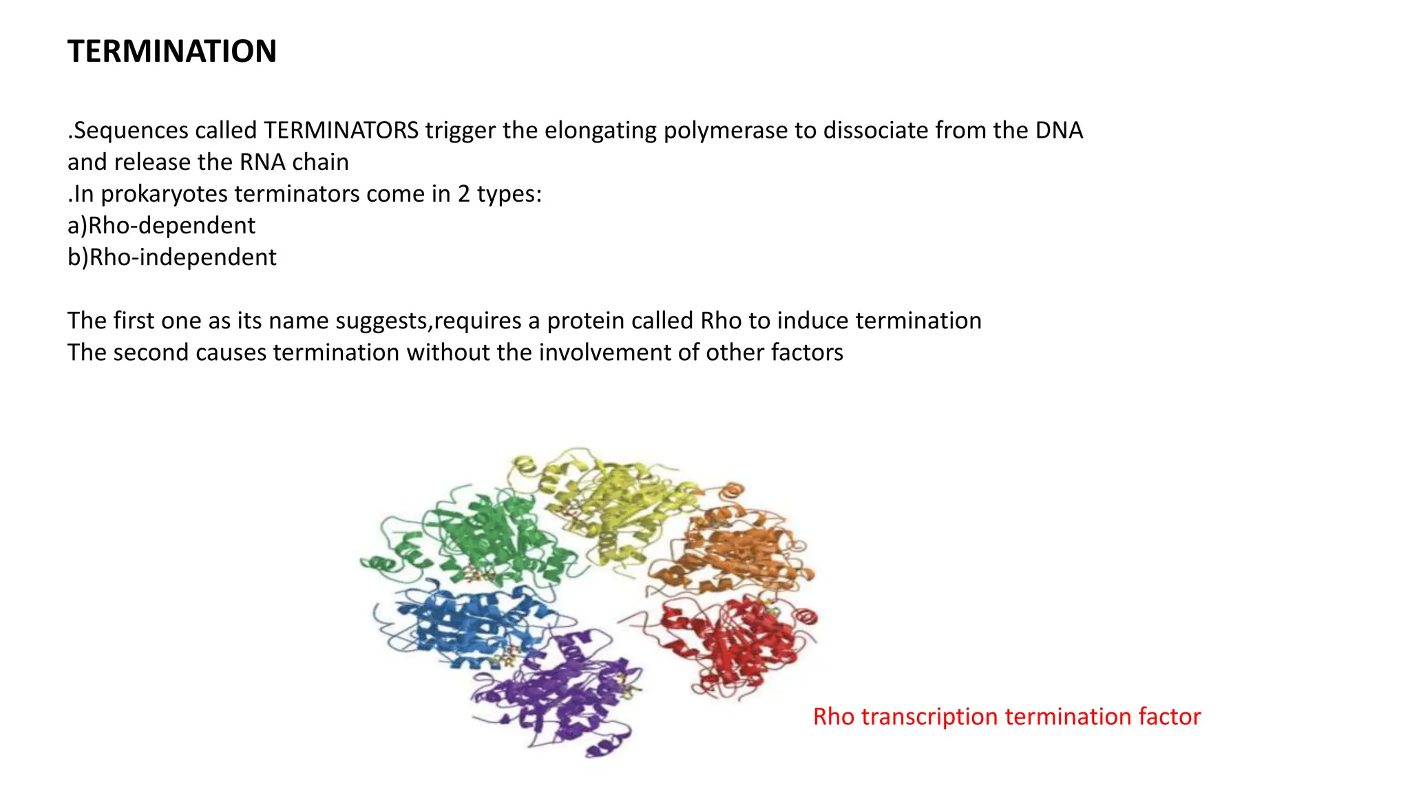 Prokaryotic transcription: Promoters, Structure and Function | PPTX