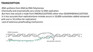 Prokaryotic transcription: Promoters, Structure and Function | PPTX