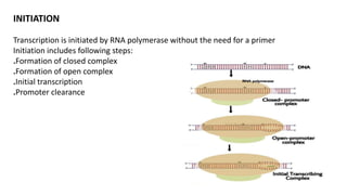 Prokaryotic transcription: Promoters, Structure and Function | PPTX
