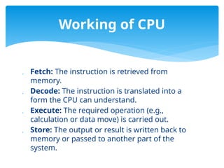 Understanding the Central Processing Unit: The Brain of Modern ...