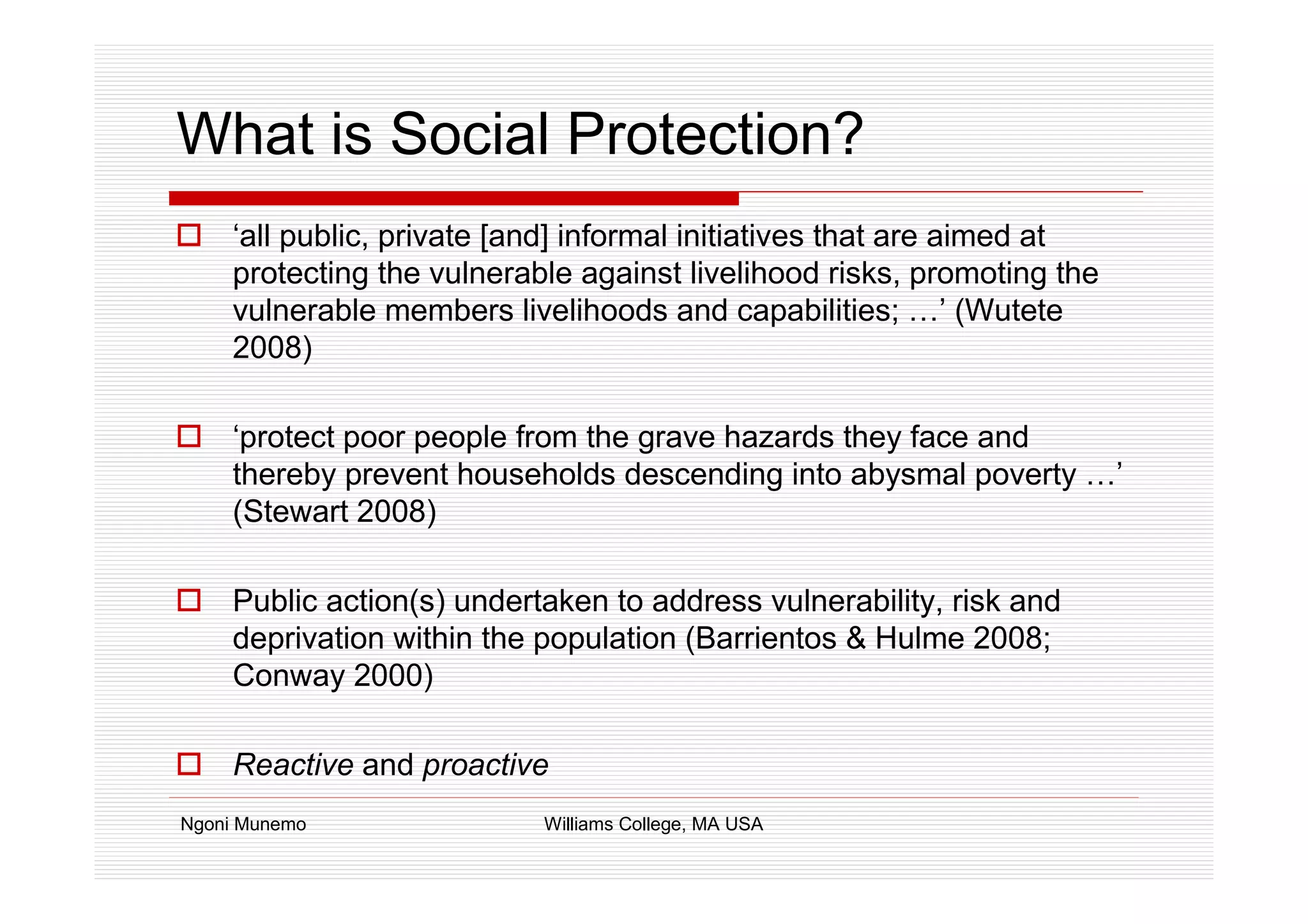 Social Protection | PDF
