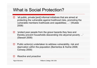 Social Protection | PDF