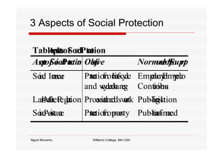 Social Protection | PDF