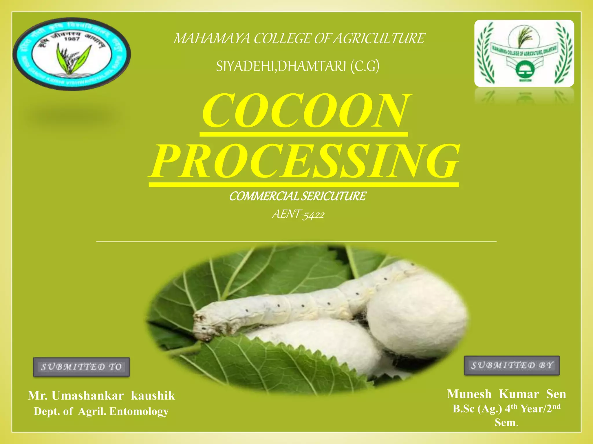 Sericulture - Post Cocoon Technology / Processing of Cocoons | PPTX