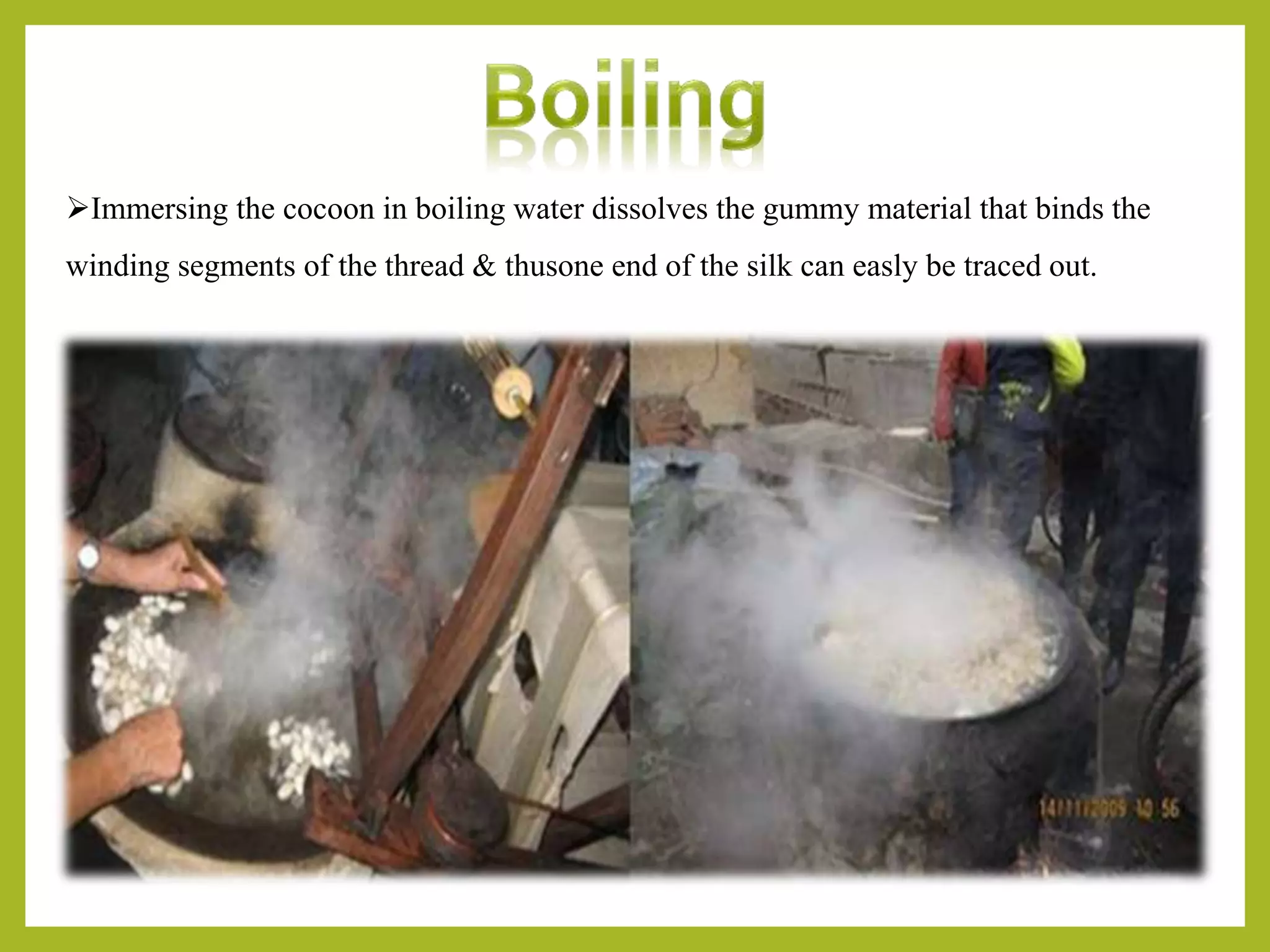 Sericulture - Post Cocoon Technology / Processing of Cocoons | PPTX