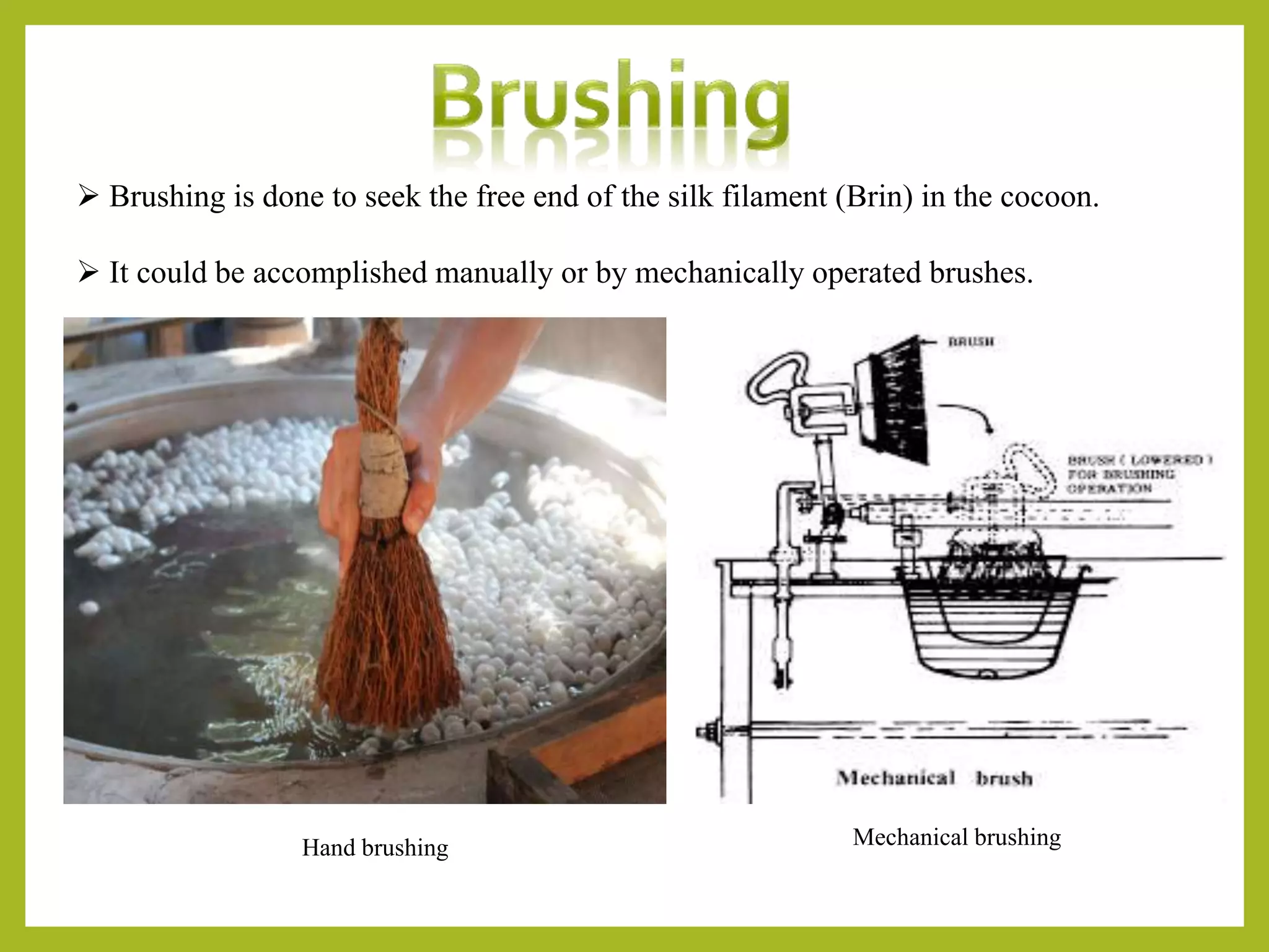 Sericulture - Post Cocoon Technology / Processing of Cocoons | PPTX