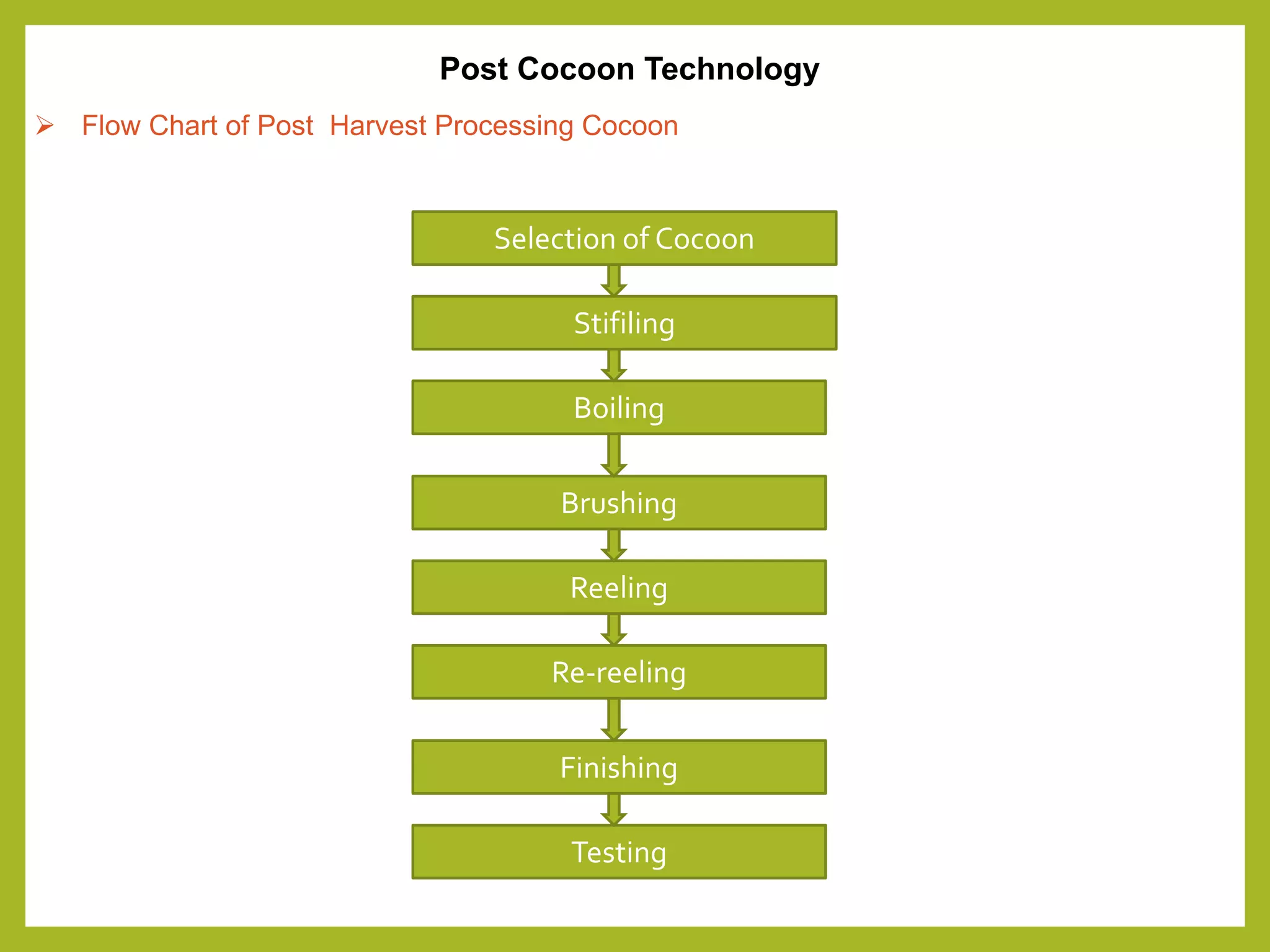 Sericulture - Post Cocoon Technology / Processing of Cocoons | PPTX