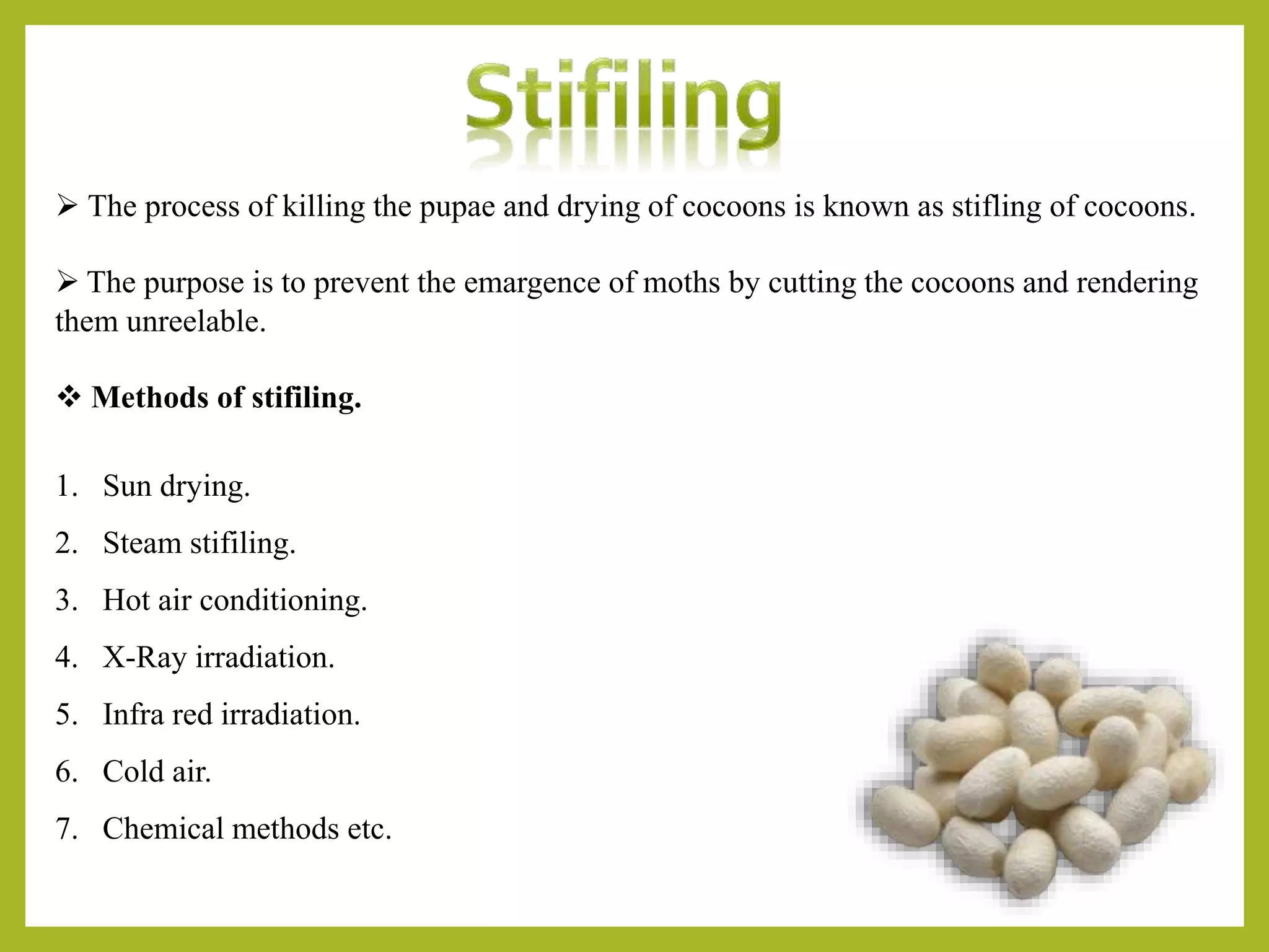 Sericulture - Post Cocoon Technology / Processing of Cocoons | PPTX