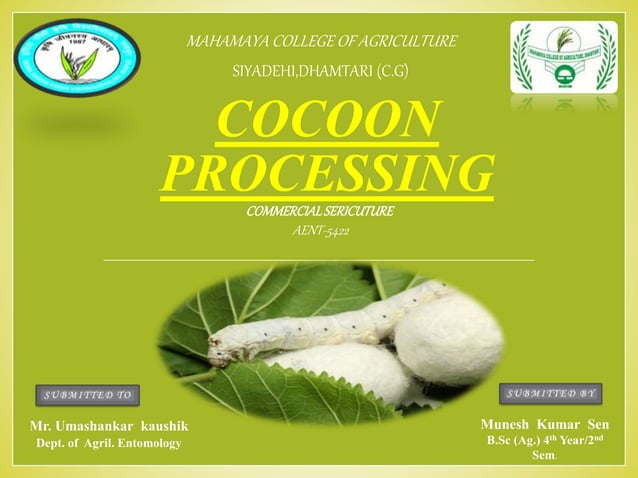 Sericulture - Post Cocoon Technology / Processing of Cocoons | PPTX ...