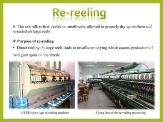 Sericulture - Post Cocoon Technology / Processing of Cocoons | PPTX