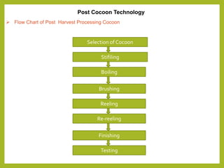 Sericulture - Post Cocoon Technology / Processing of Cocoons | PPTX