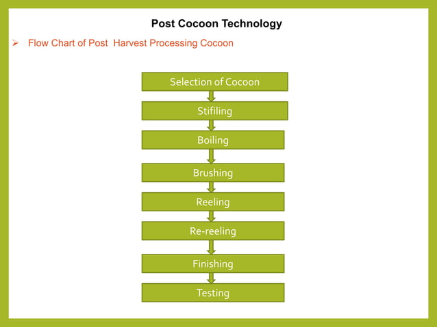 Sericulture - Post Cocoon Technology / Processing of Cocoons | PPTX ...