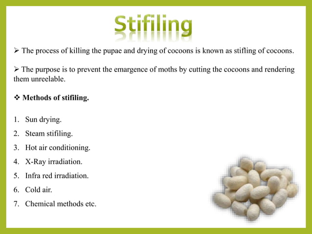 Sericulture - Post Cocoon Technology / Processing of Cocoons | PPTX ...